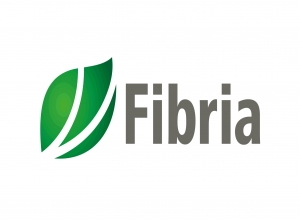 Fibria Celulose é condenada em acidente de trabalho que vitimou ...